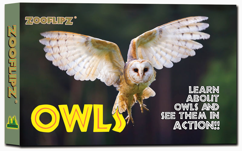 Owl Educational Wildlife Flipbook – Flipworkz Flipshop